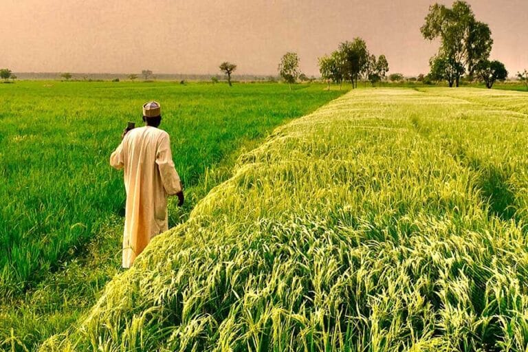 Governance Challenge of Agriculture in Ghana | Tractors PK